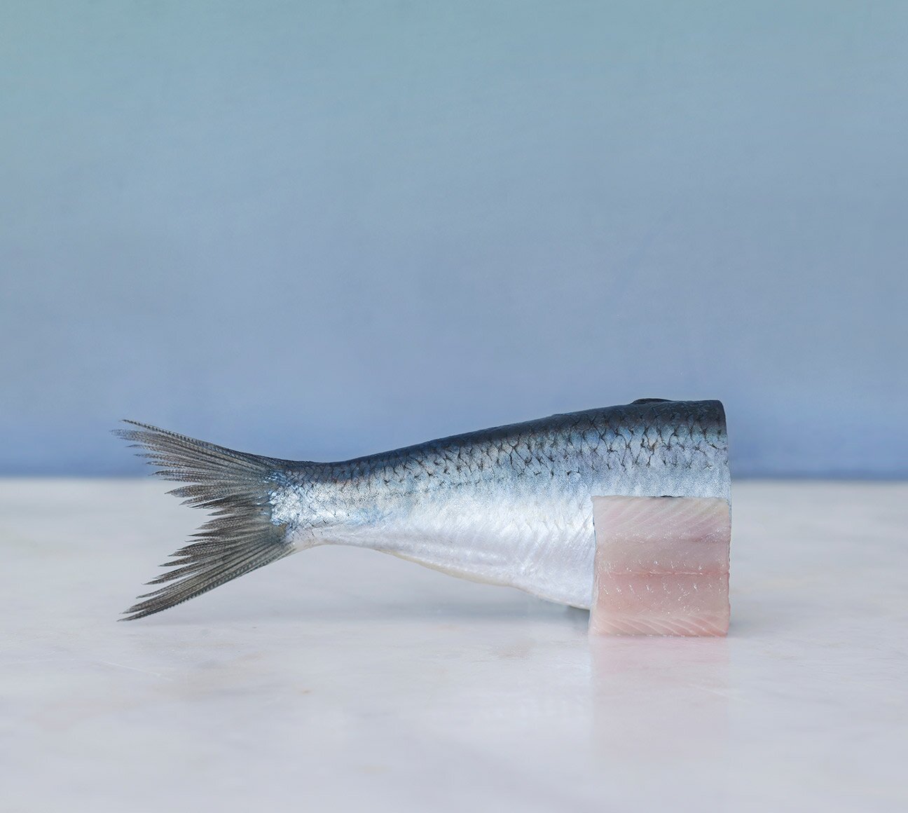 Le hareng | Seafood from Norway | Seafood from Norway